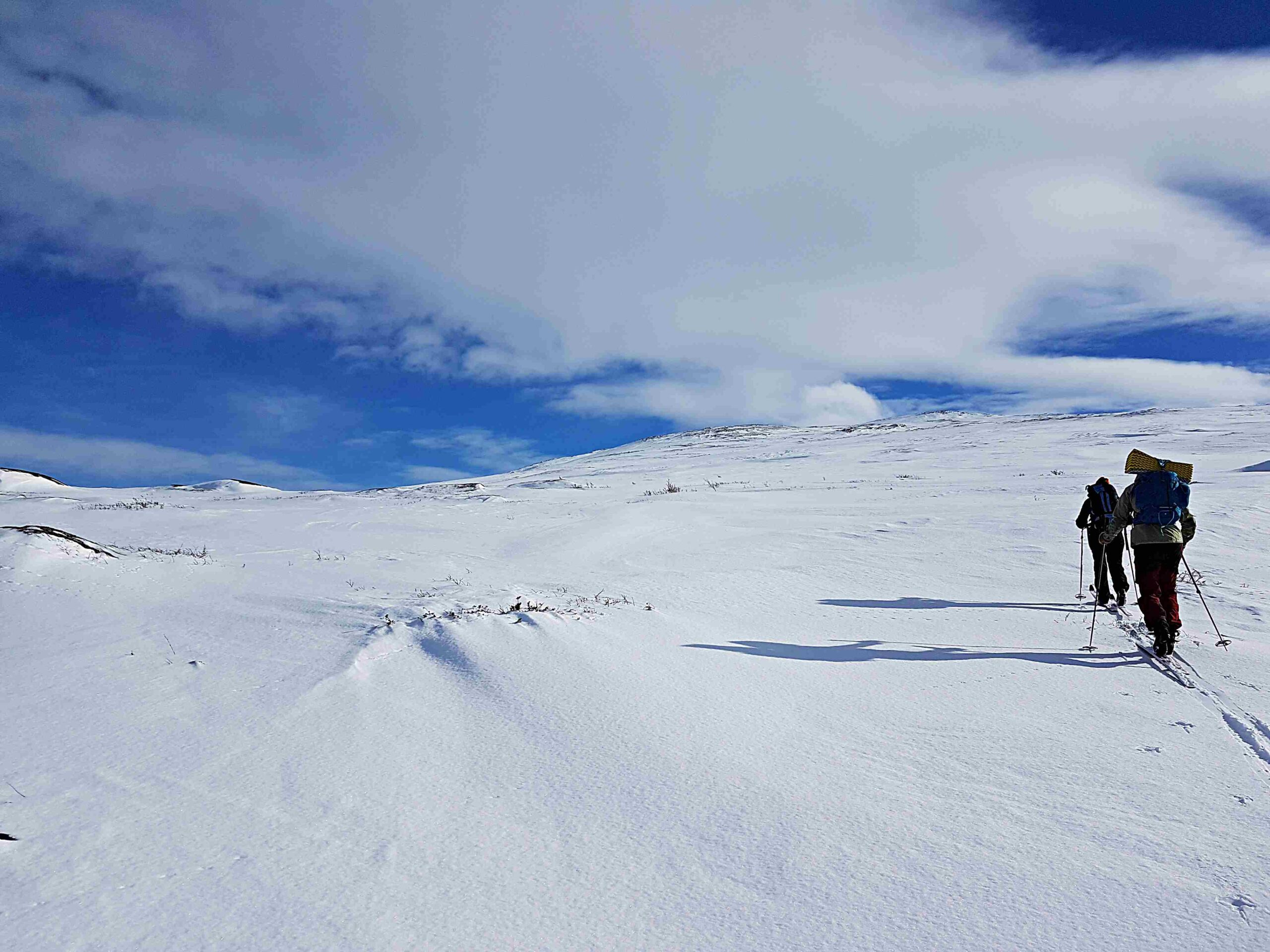 Friluftsliv – Wood Goblin